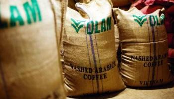 Agrobusiness : pourquoi Olam revoit sa stratégie – Jeune Afrique