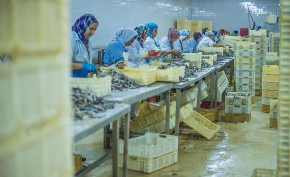 PME : la BERD apporte 100 millions d’euros au groupe marocain Banque ...