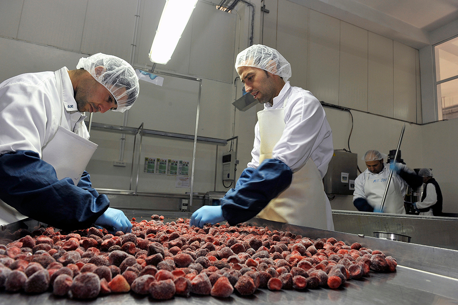 Fruits : Agrana croit ferme au « made in Algeria » – Jeune Afrique