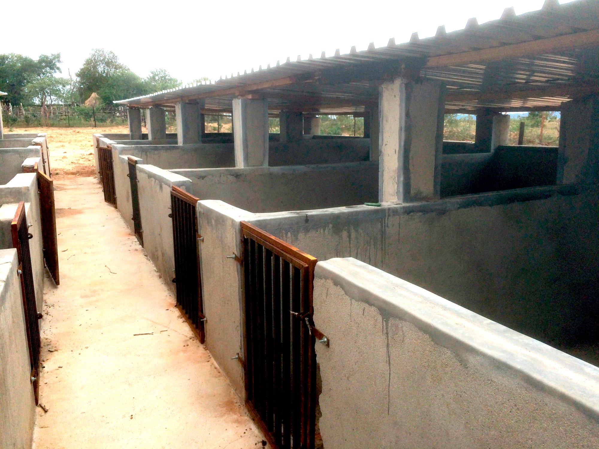 Zimbabwe : 16 ans après la réforme agraire, quels espoirs au pays de ...