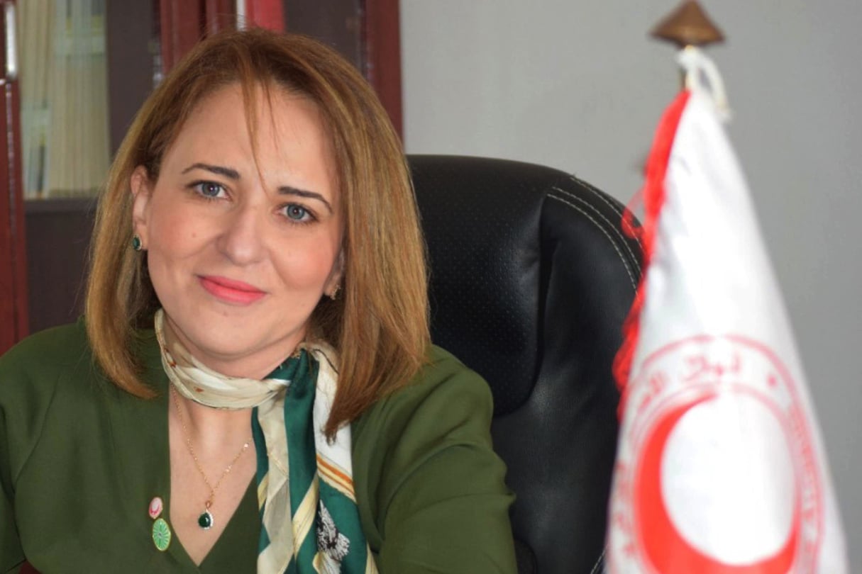 Algérie : de la médecine à la politique, Ibtissem Hamlaoui nommée à la ...