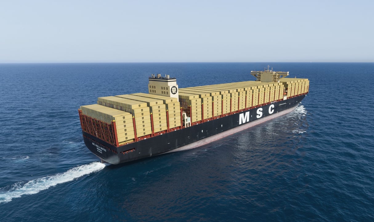 Rejoignez le programme Net-Zero du MSC : Une nouvelle vision de la ...