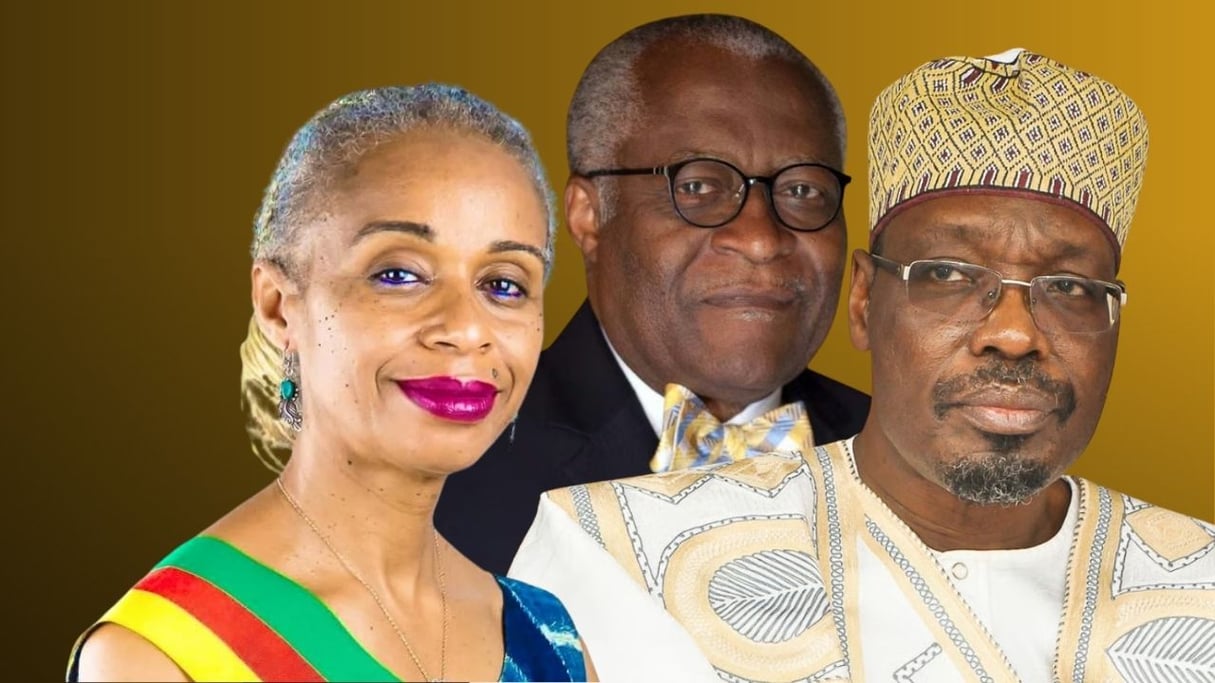 Cameroun : face à Paul Biya, Issa Tchiroma Bakary, Akere Muna et ...