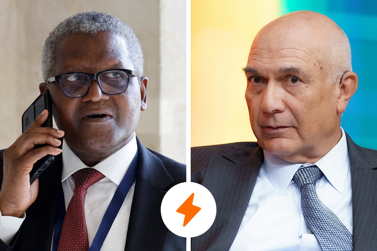 Engrais : entre Dangote et OCP, la perspective d’un choc des titans en ...