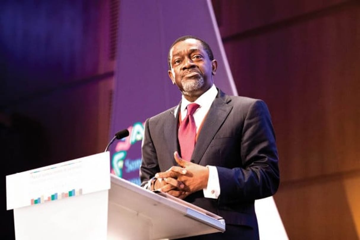 André et Kate Fotso, le couple de patrons - Jeune Afrique