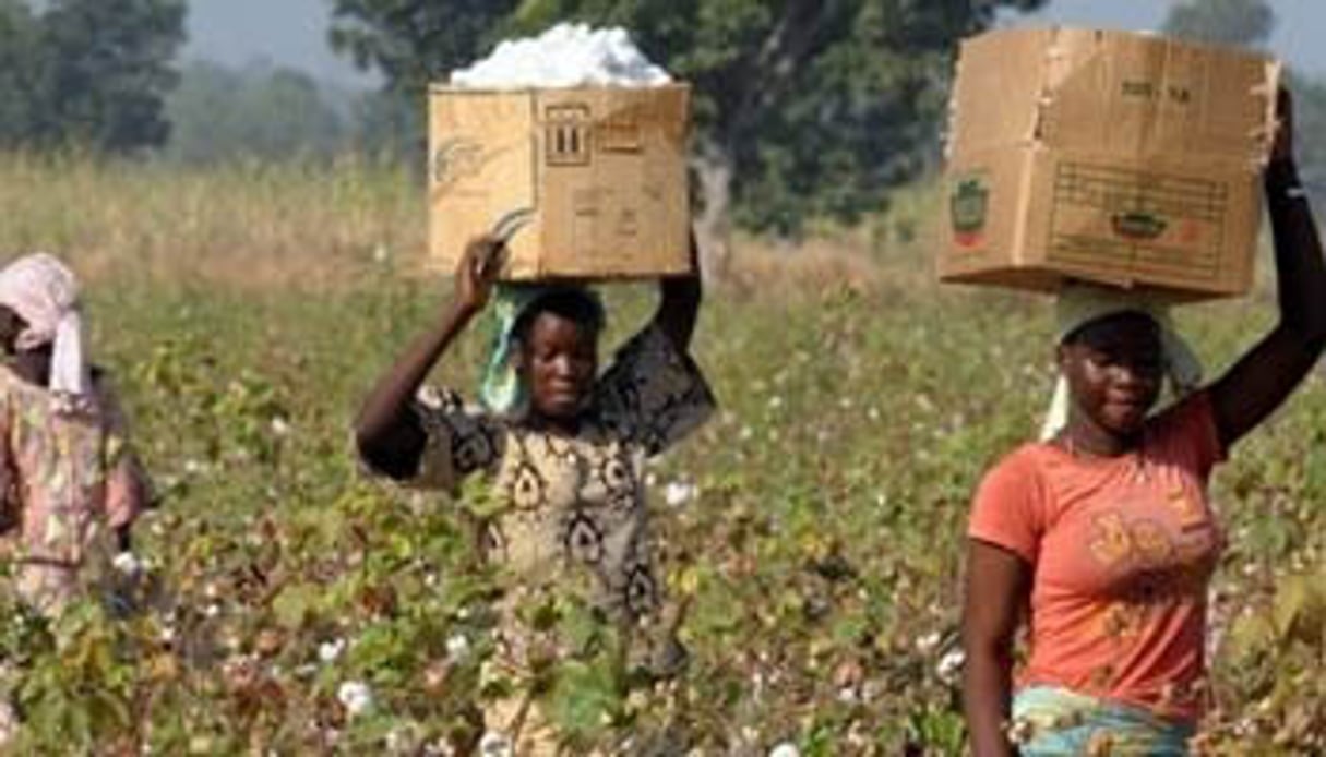 Aafex : les coopératives agricoles en visite d’étude à Paris - Jeune Afrique