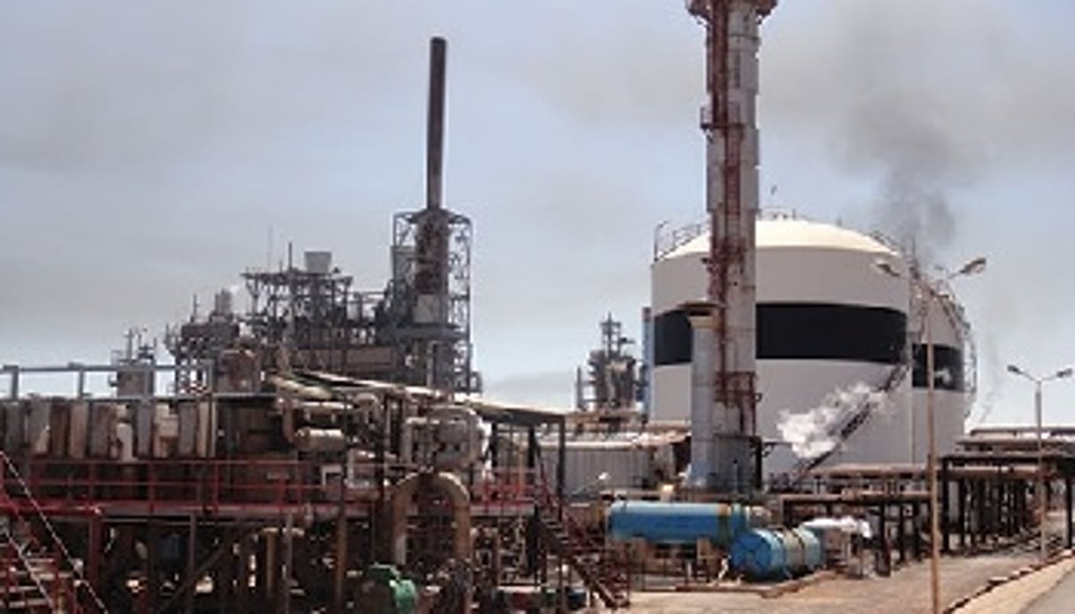 Fertial veut investir 250 millions d’euros sur les cinq prochaines années