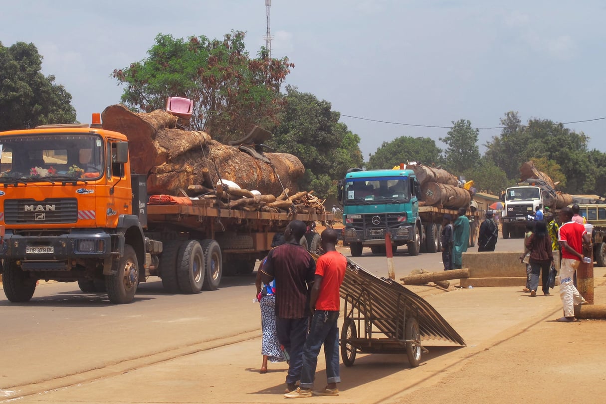 Au Cameroun, les transporteurs en grève contre… Wagner