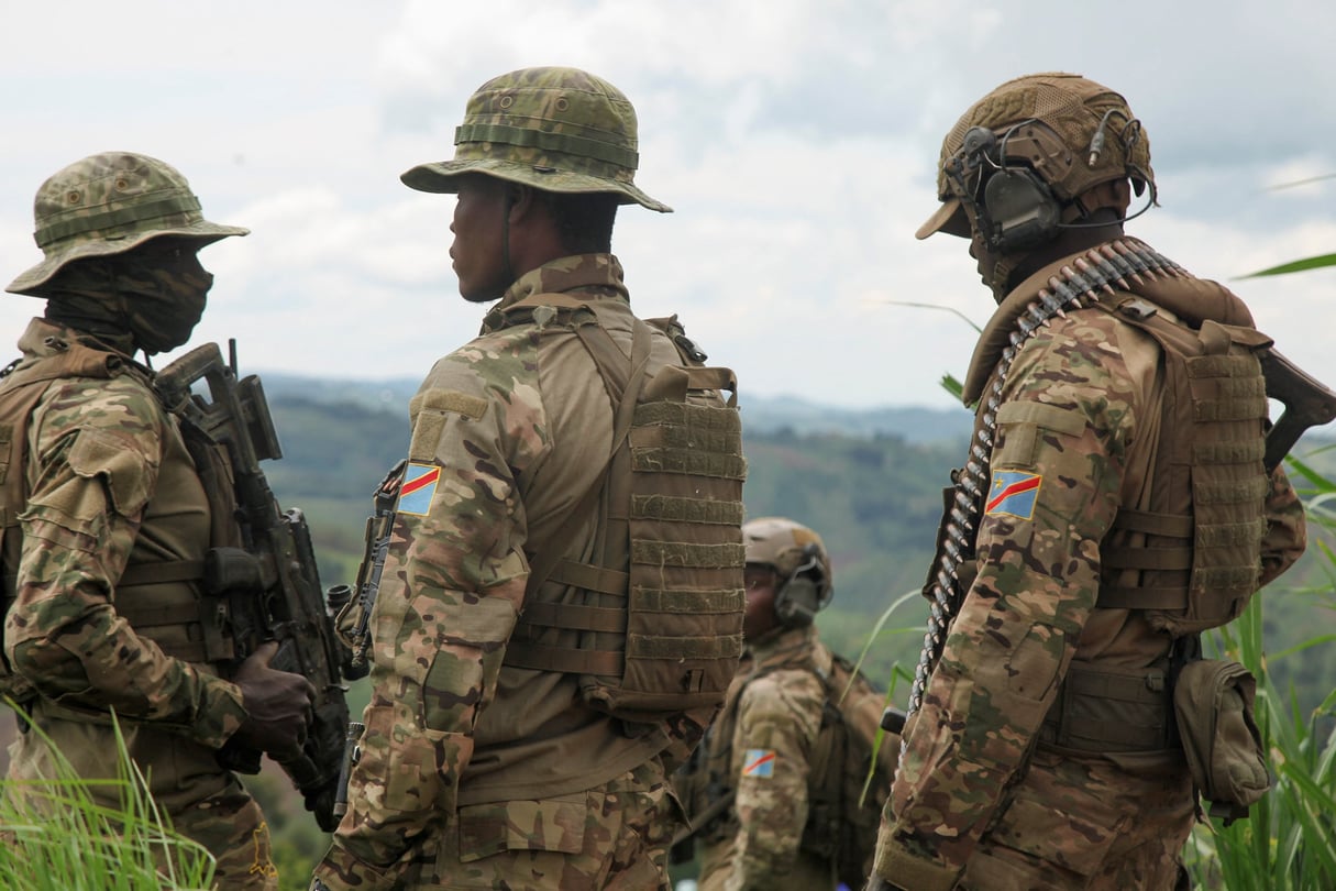 RDC : que reste-t-il des FDLR dans l’Est