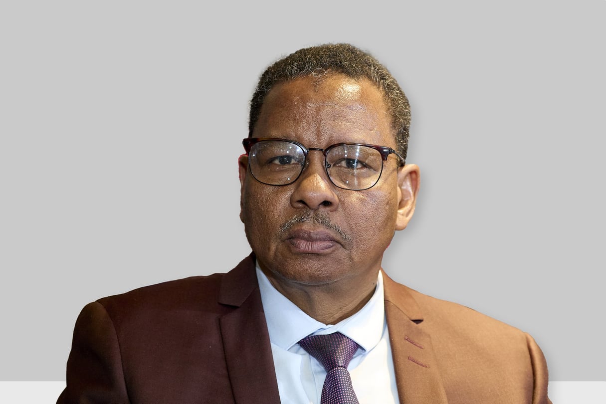 Newton Ahmed Barry : « Le Burkina Faso d’Ibrahim Traoré, c’est la Corée ...