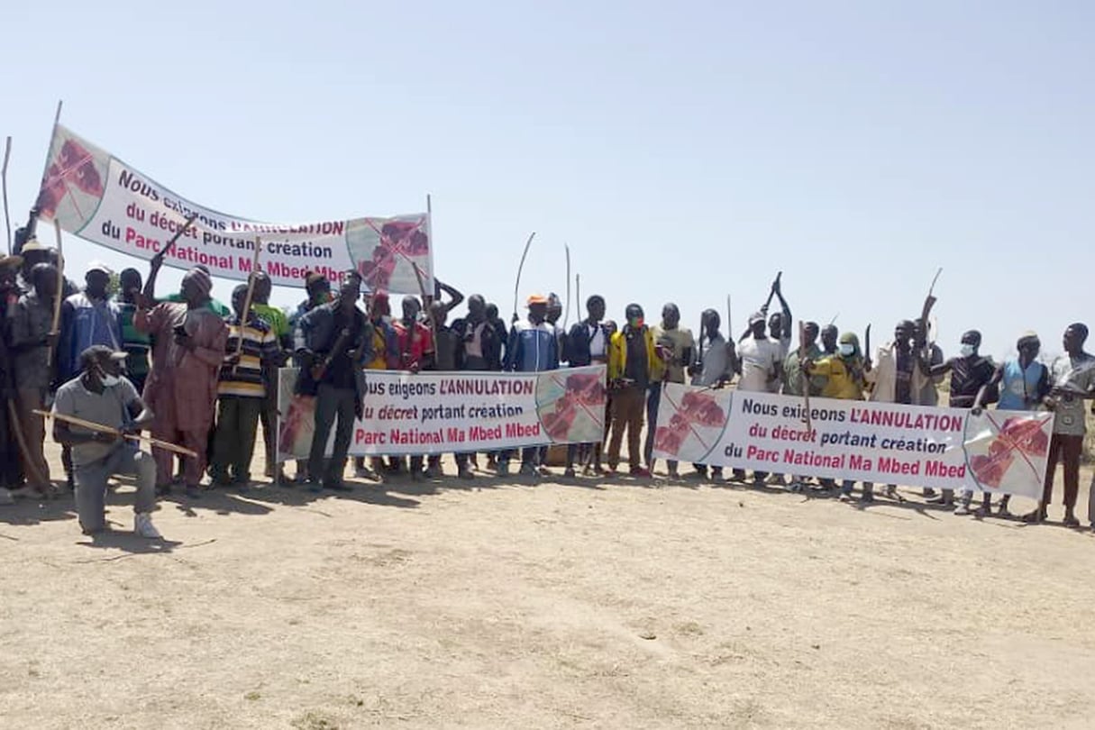 Au Cameroun, Paul Biya, les Toupouri et le parc Mbed Mbed - Jeune Afrique