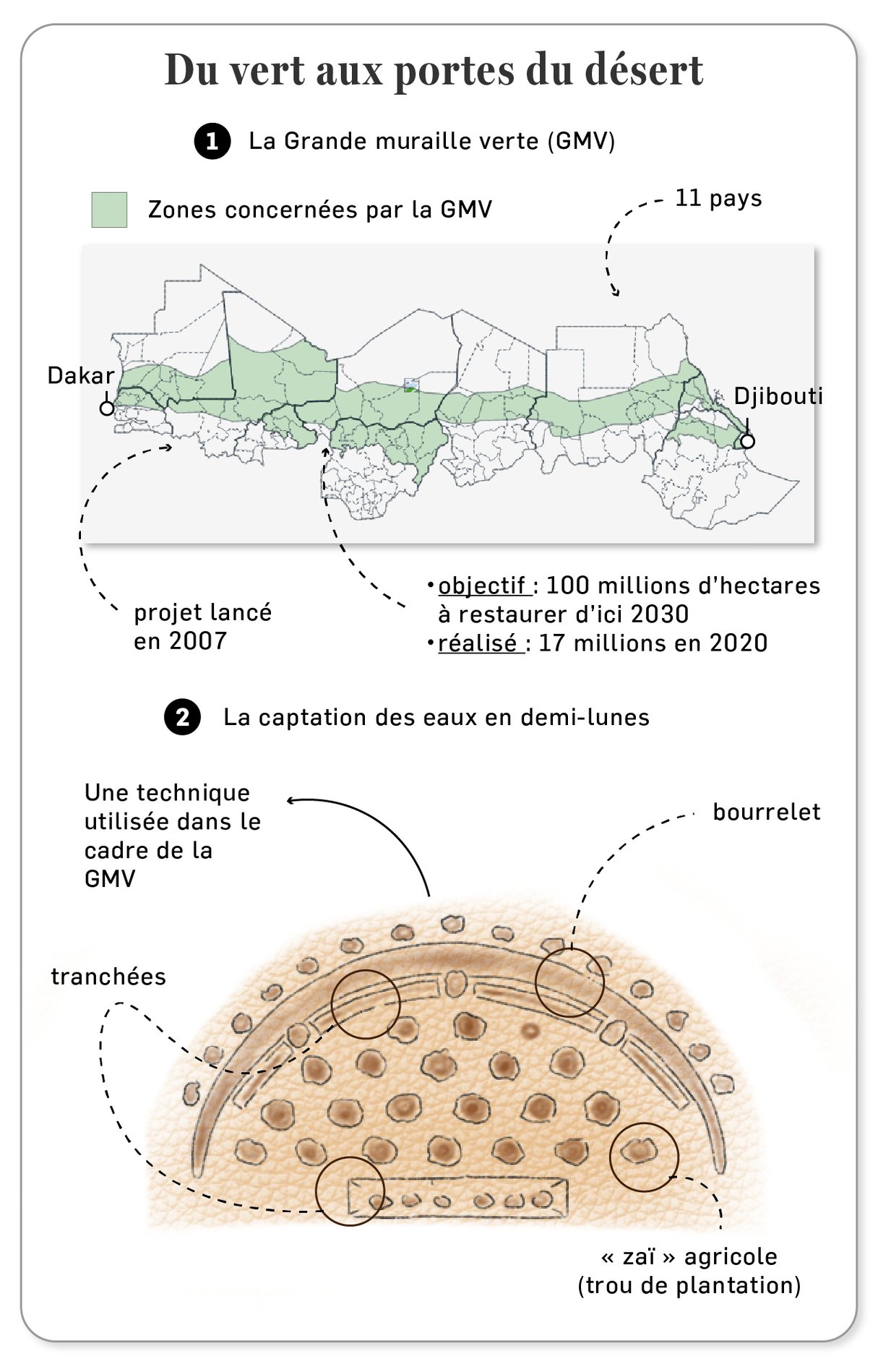 Climat : la Grande muraille verte existe-t-elle vraiment
