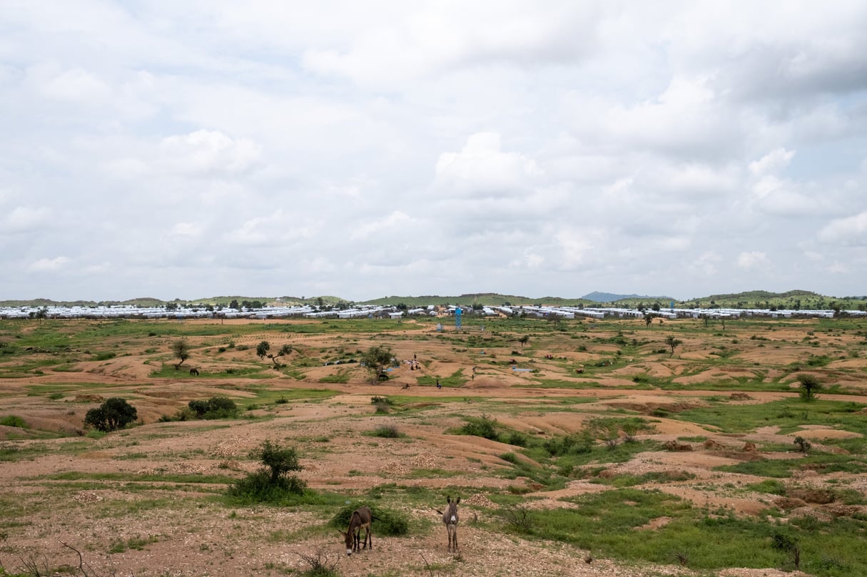 Au Tchad, des affrontements communautaires font une vingtaine de morts ...