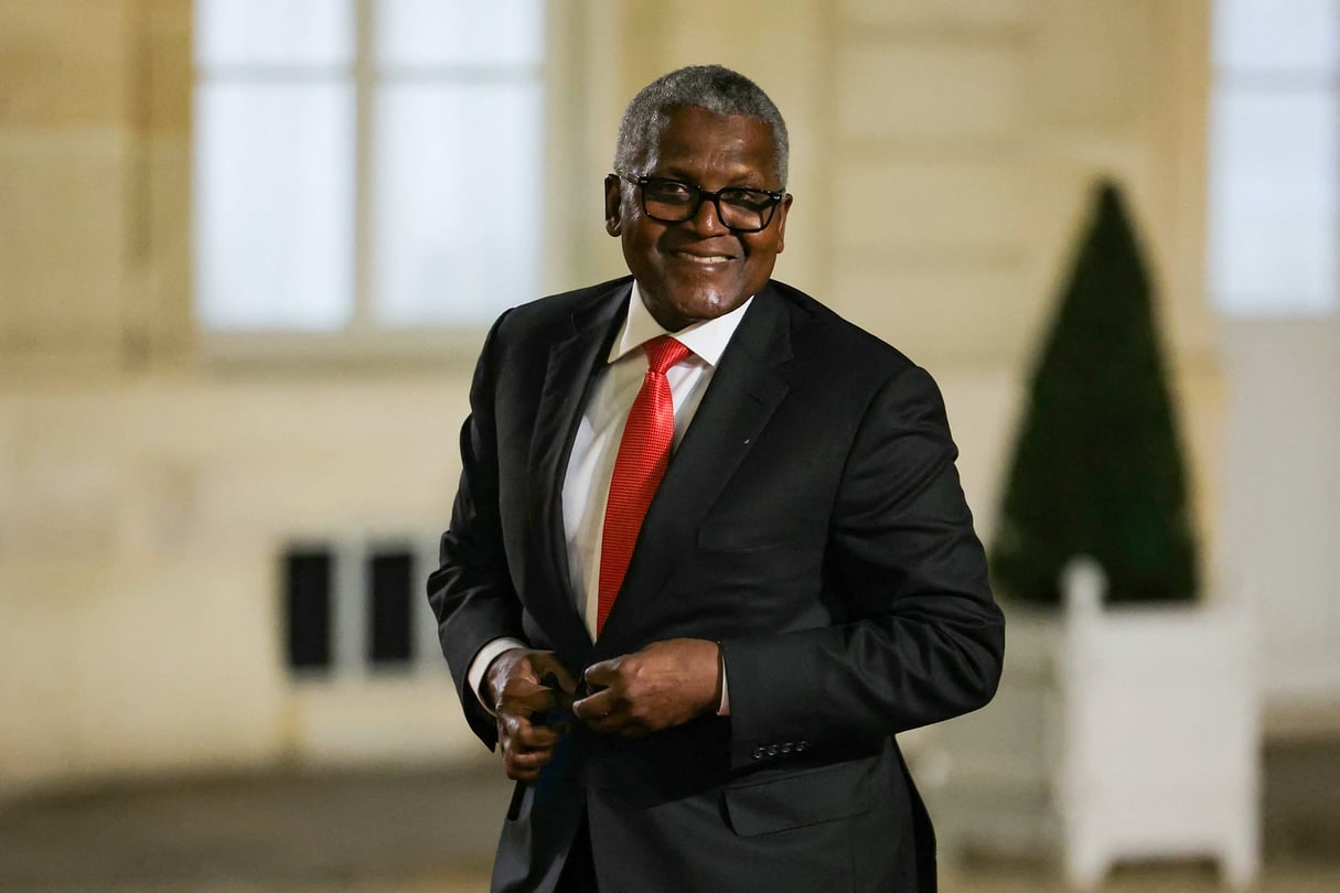 Du Nigeria à l’Éthiopie : le pari XXL de Dangote pour imposer son ...
