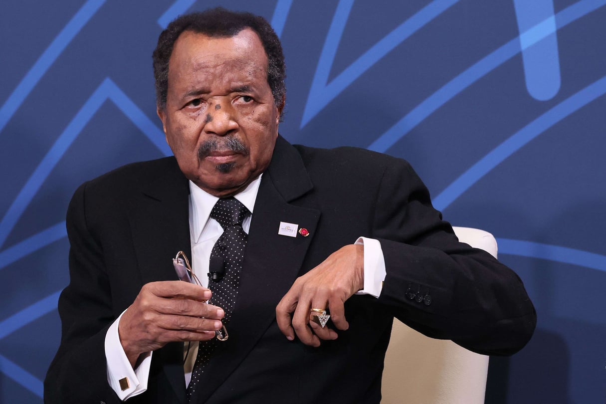 Présidentielle au Cameroun : rencontre avec cette diaspora qui a juré de faire tomber Paul Biya