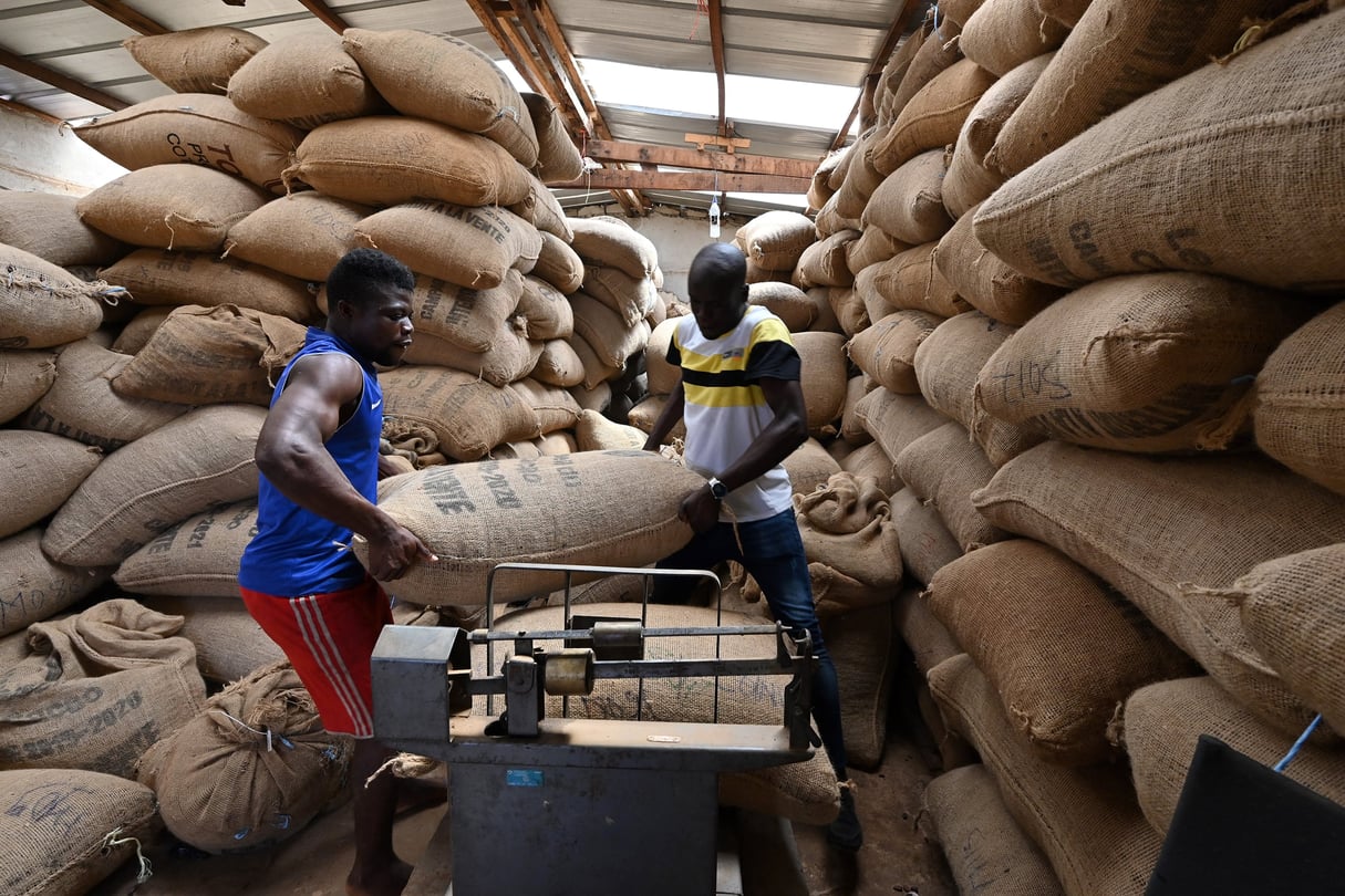 Cacao : « La Côte d’Ivoire et le Ghana doivent étendre leur alliance