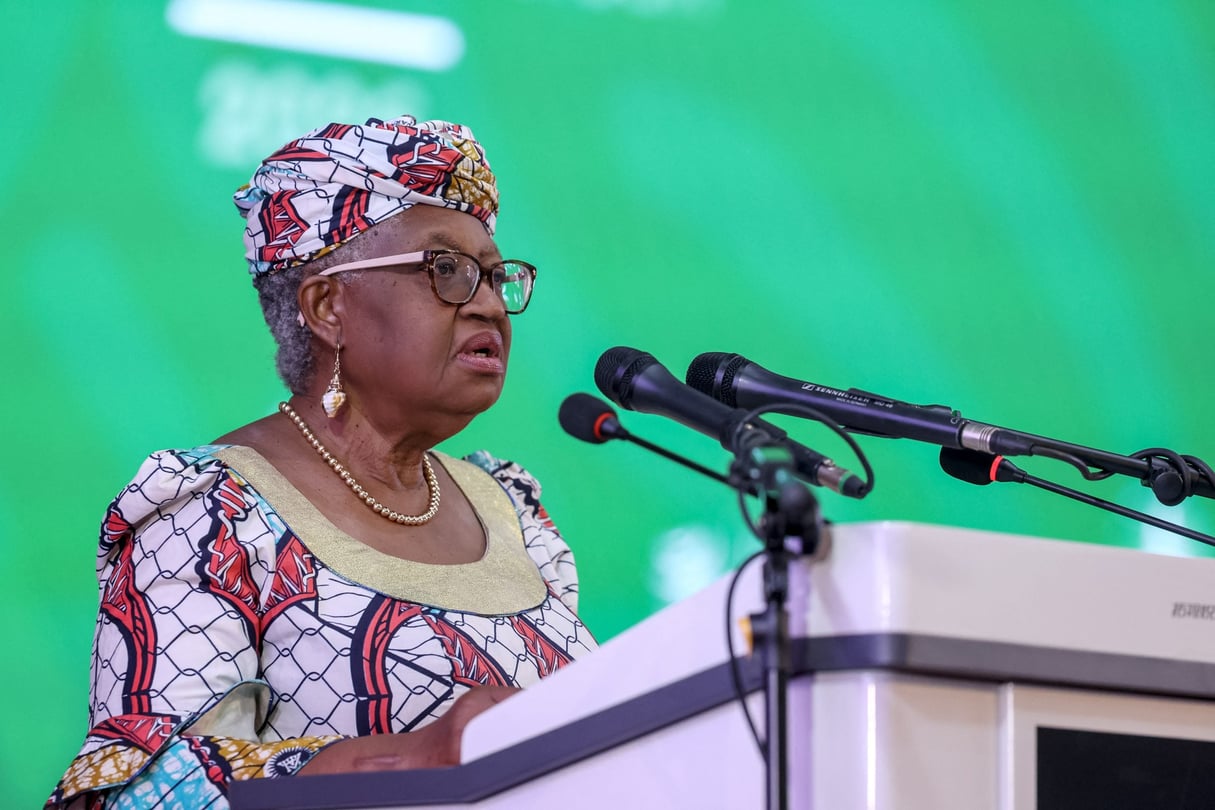 OMC à Yaoundé : l’organisation s’achemine vers un accord a minima sur ...