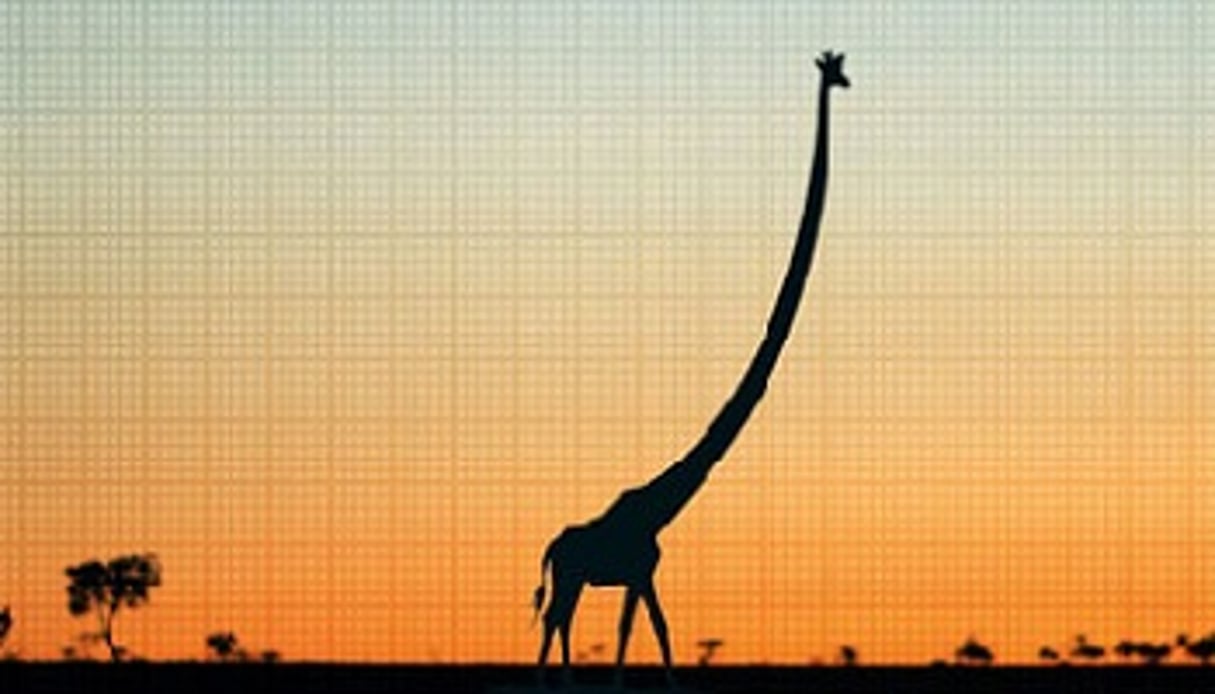 The Economist, so afro-optimist ! - Jeune Afrique