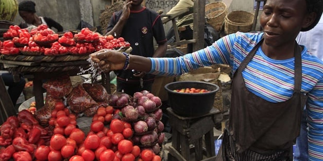 Nigeria : l’usine de transformation de tomates de Dangote est entrée en ...