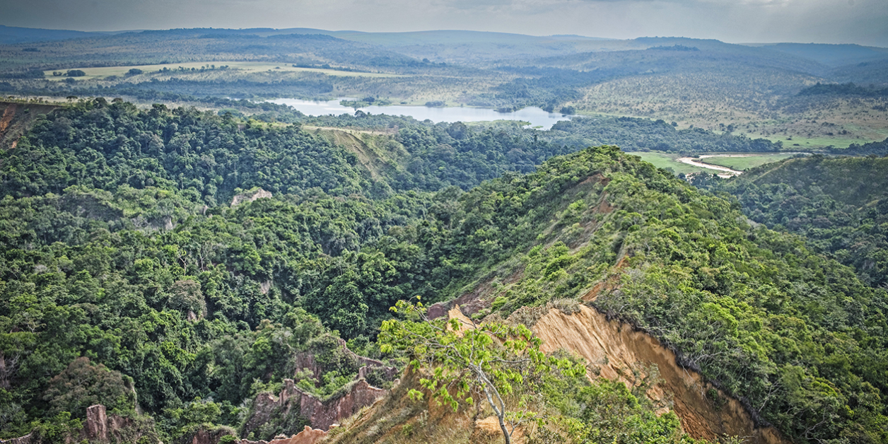 Le Gabon à l’avant-garde de la diplomatie verte
