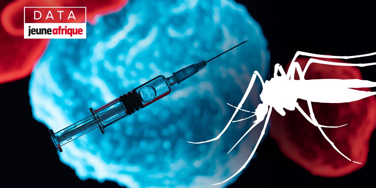 Faut-il croire au « vaccin miracle » contre le paludisme ? Décryptage en infographie - Jeune Afrique