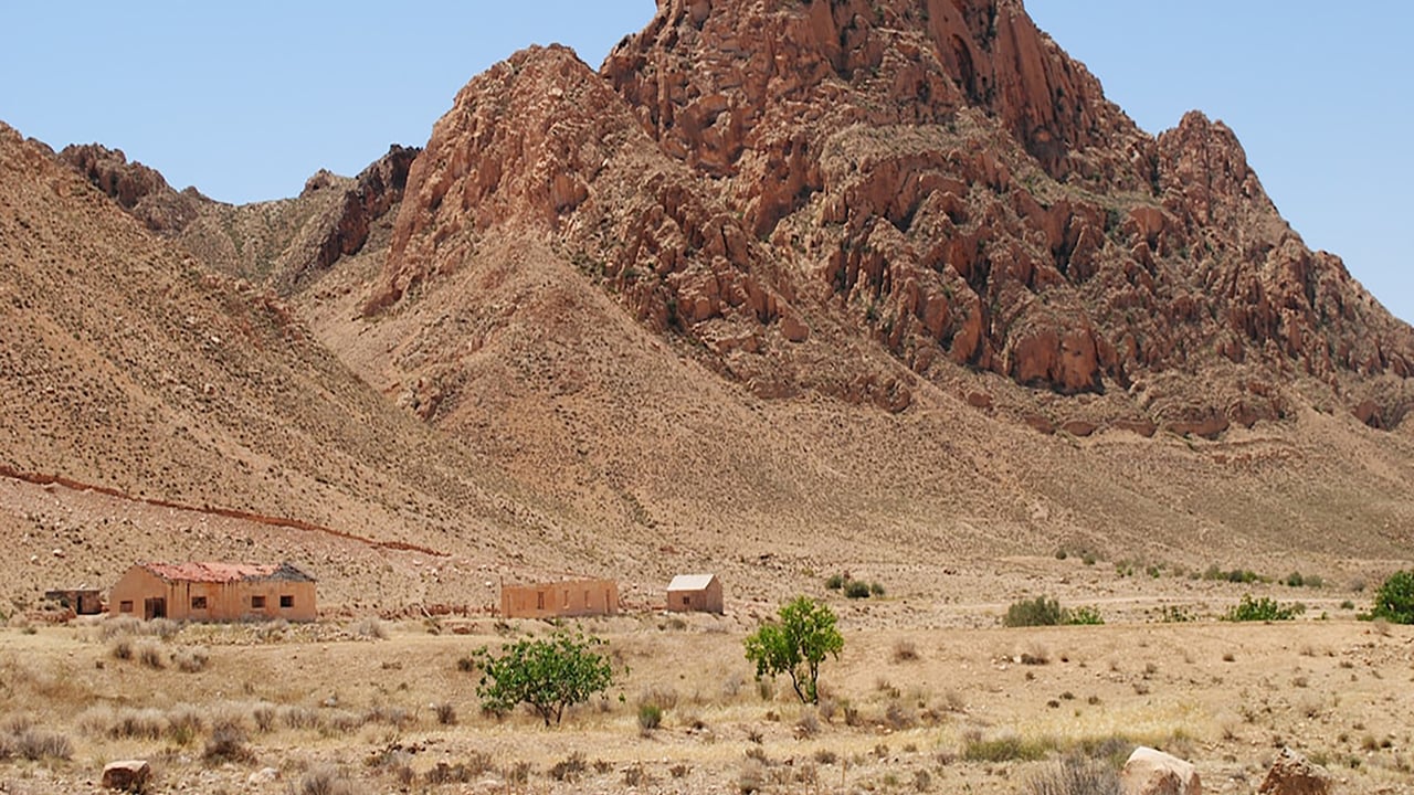 Avec la civilisation capsienne, la Tunisie se penche sur son passé ...