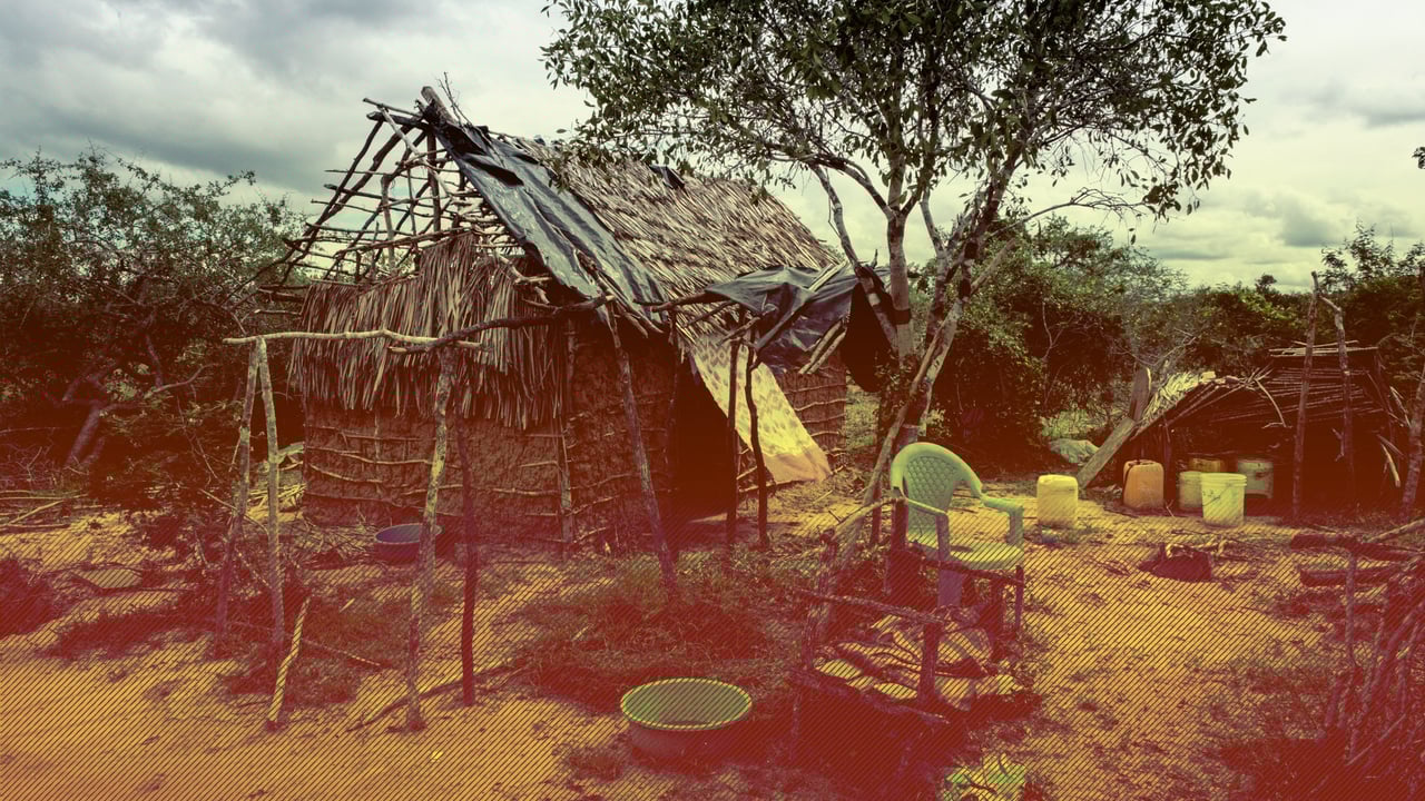 Bienvenue en « Terre sainte » : Shakahola, l’horreur au quotidien