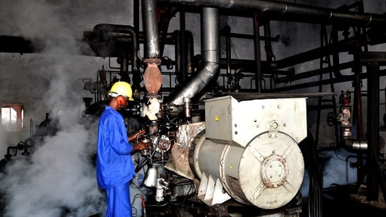 La Cameroon Tea Estate envisage de se tourner vers le haut de gamme ...