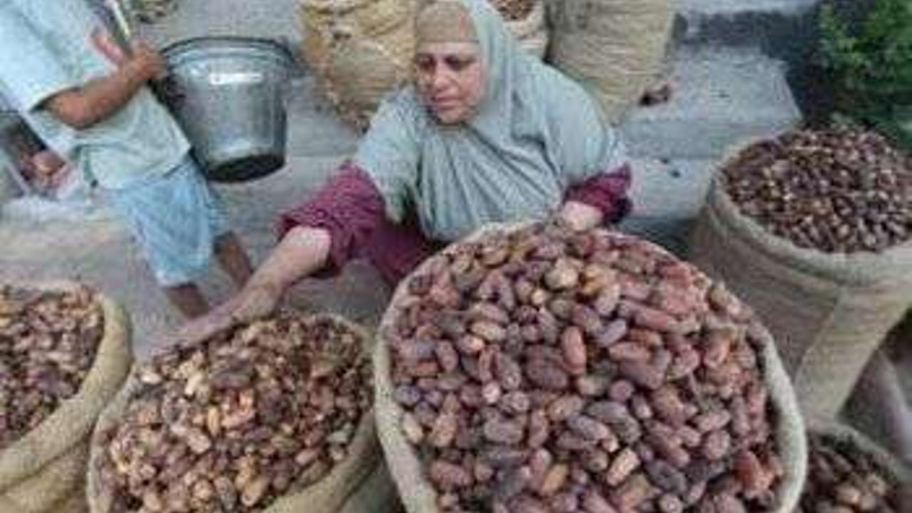 Égypte – ramadan : les dattes de la révolution