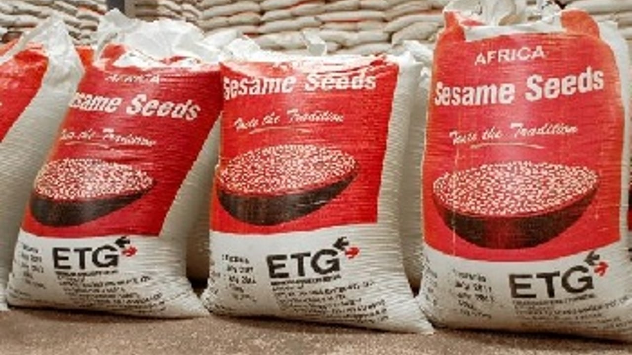 Export Trading Group s’étend en Afrique de l’Ouest