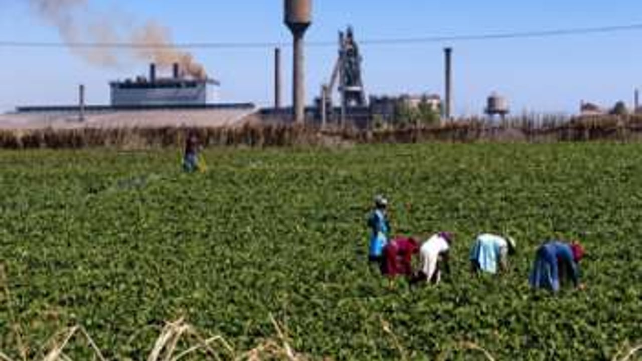 Tunisie : Carthage Cement veut lever 40 millions d’euros