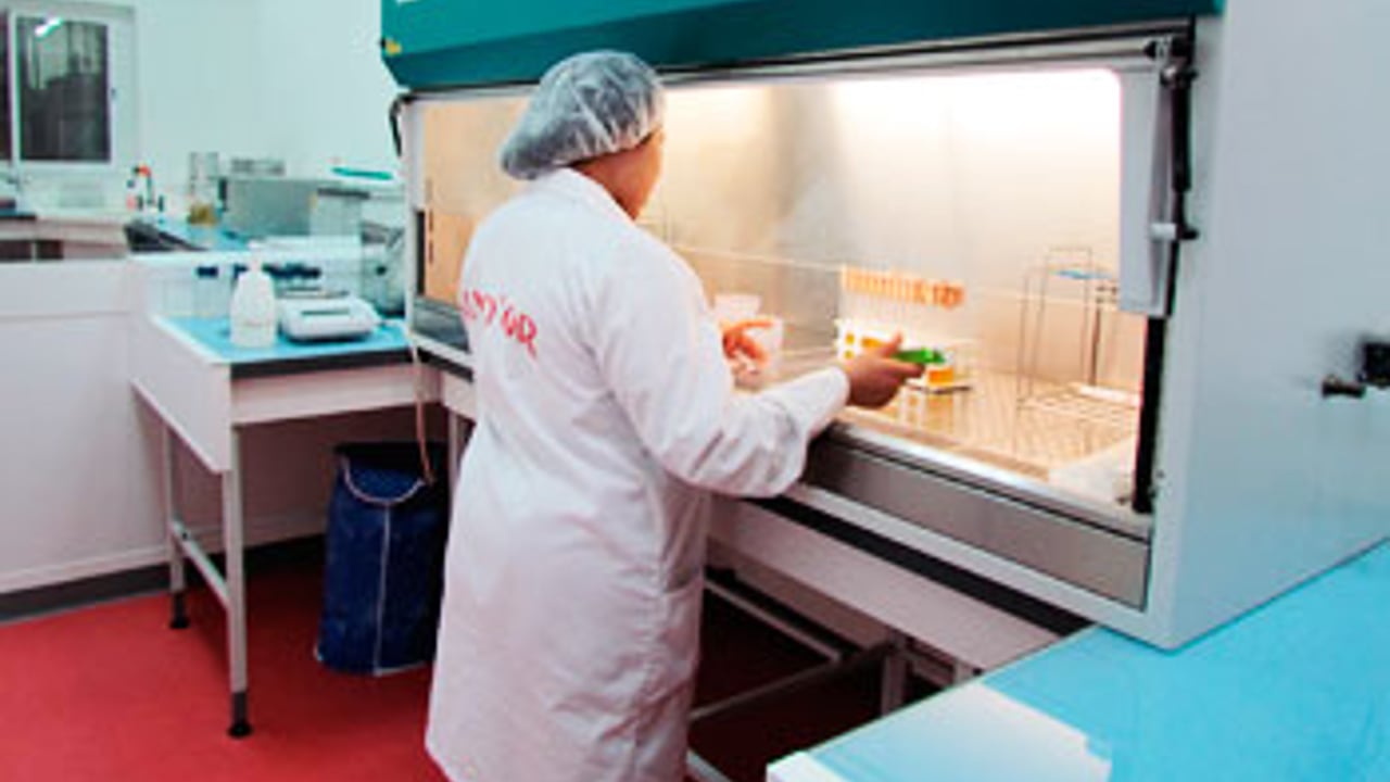 Tunisie : le fromager Land’Or met le cap sur l’international