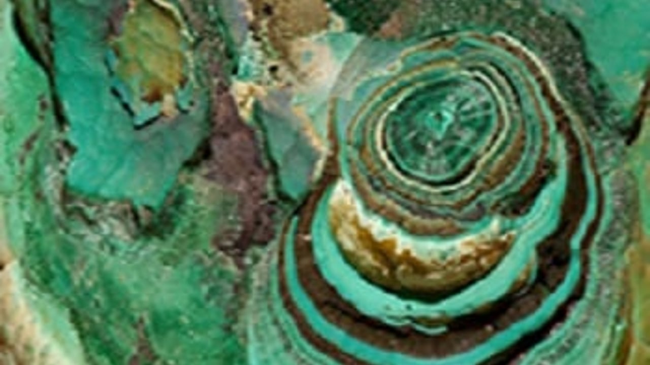 RD Congo : Quand Yuma gêne Matata