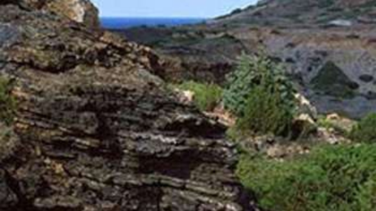 Gabon : Sundance lorgne le fer de Belinga