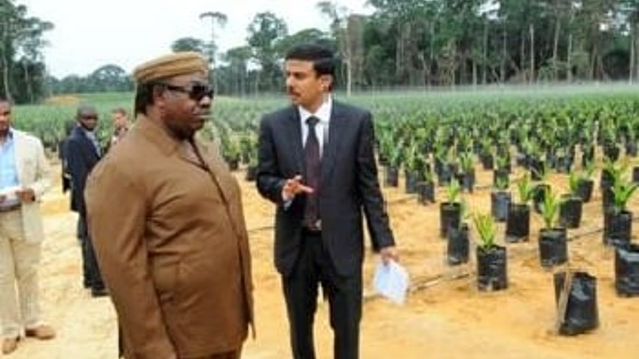 Olam : « Notre stratégie consiste à aller de l’agriculteur jusqu’à l ...