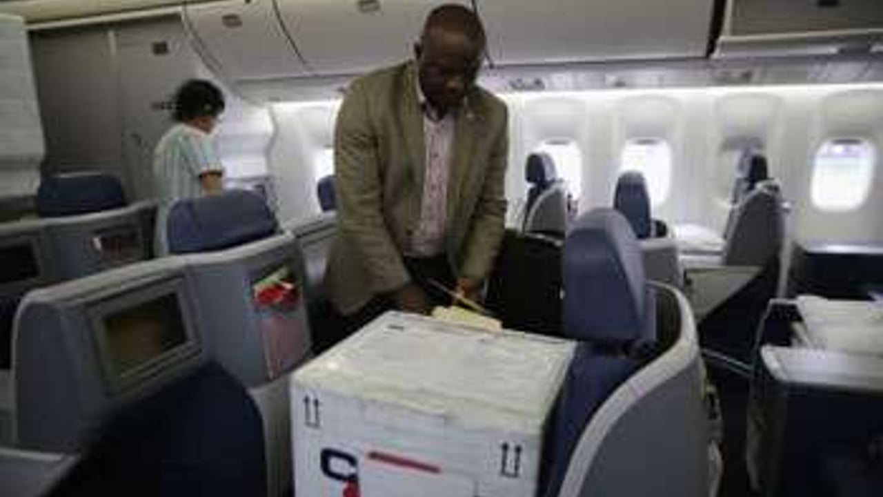 Ebola : ZMapp, remède miracle