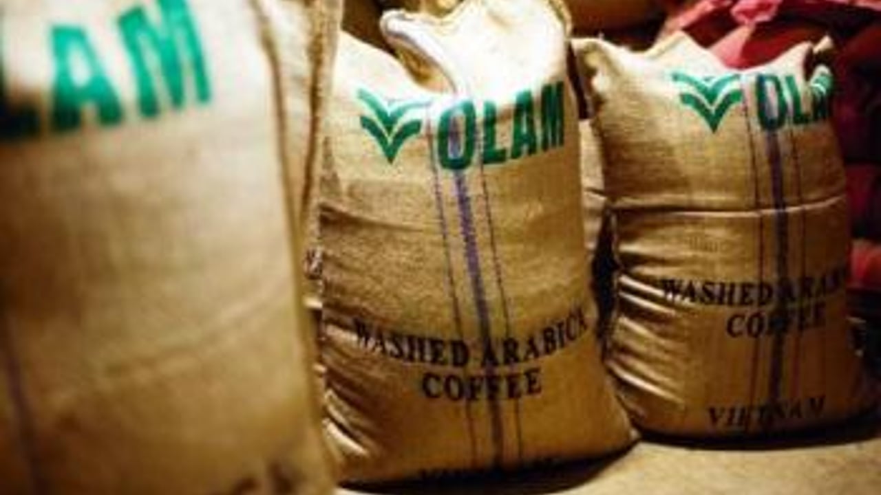 Agrobusiness : pourquoi Olam revoit sa stratégie