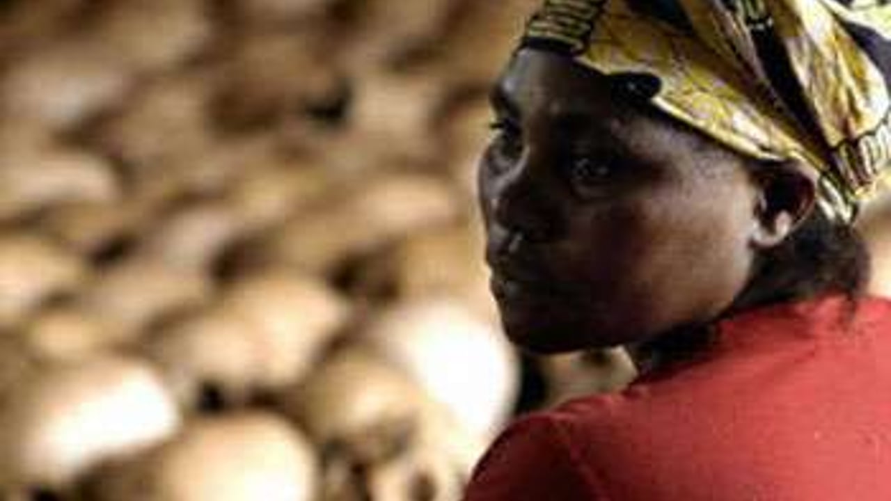Génocide au Rwanda : quel bilan pour le TPIR, vingt ans après sa création