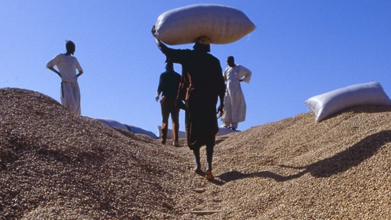 Le Sénégal mise sur une nette progression de la production d’arachide ...