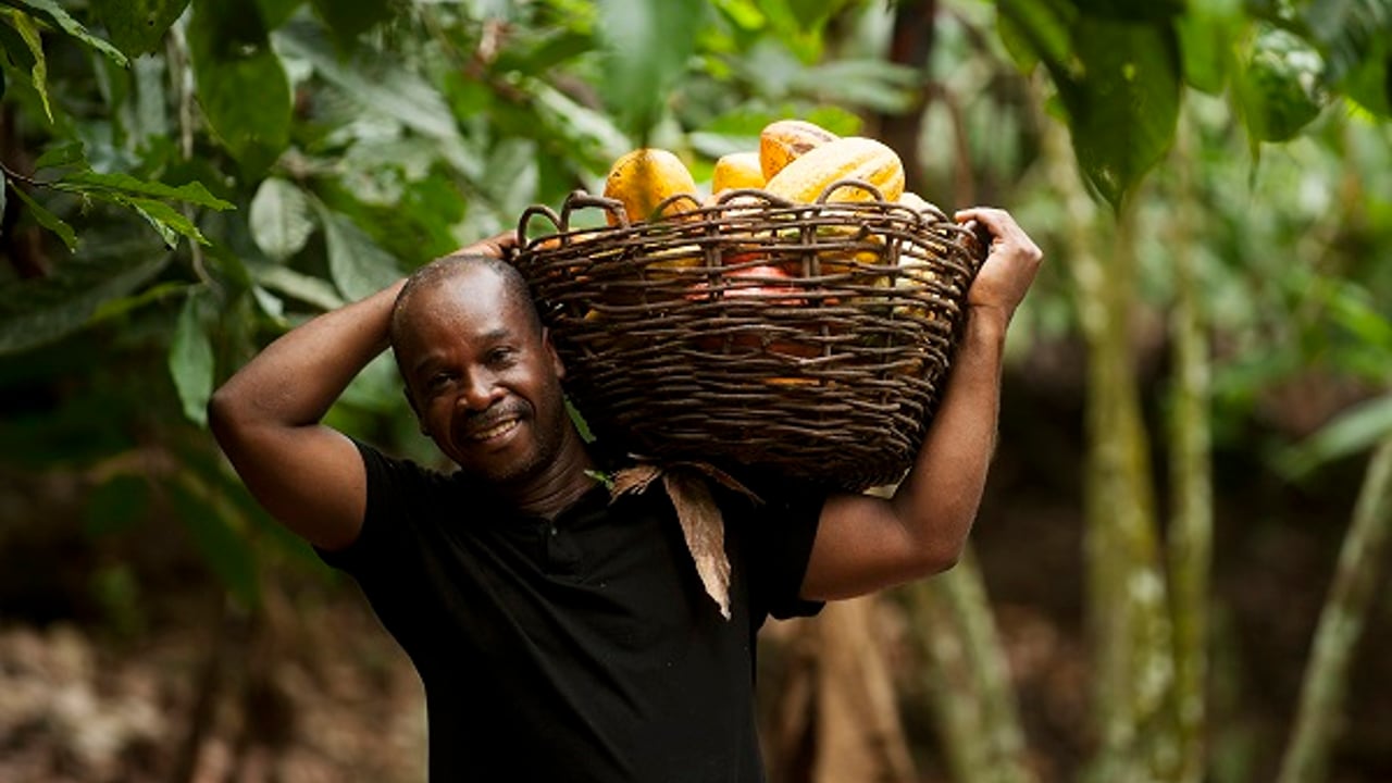 Fortin Bley : « Le commerce équitable améliore la vie des petits ...