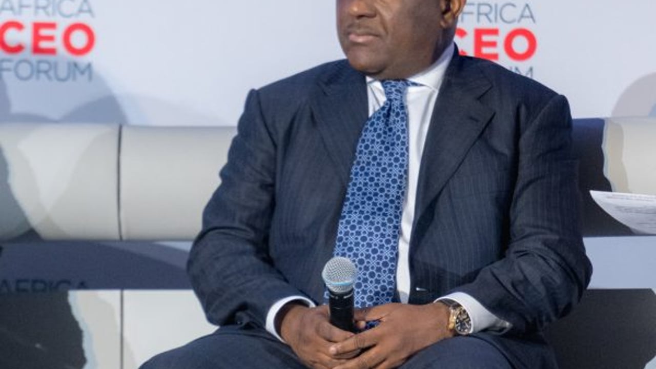 Abdul Samad Rabiu, PDG de BUA group : « Dans le ciment, le retour sur ...