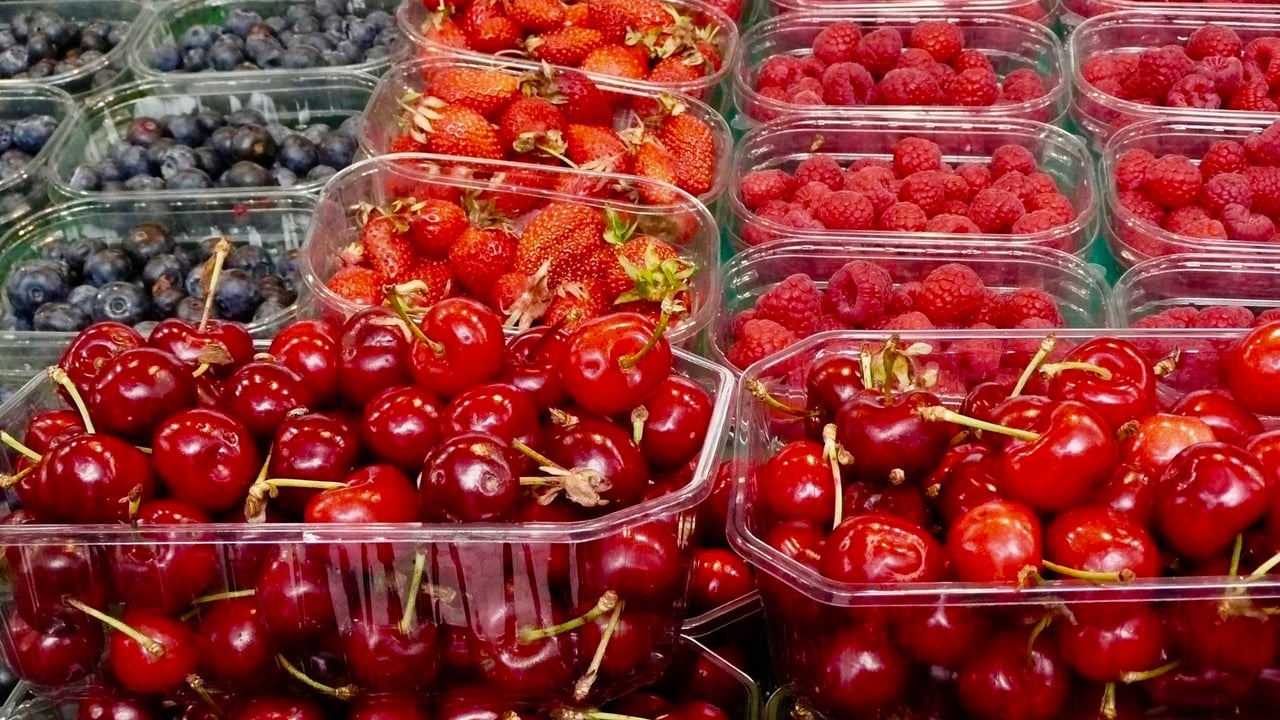 Fruits rouges : Tana Africa Capital investit dans le marocain Palmagri