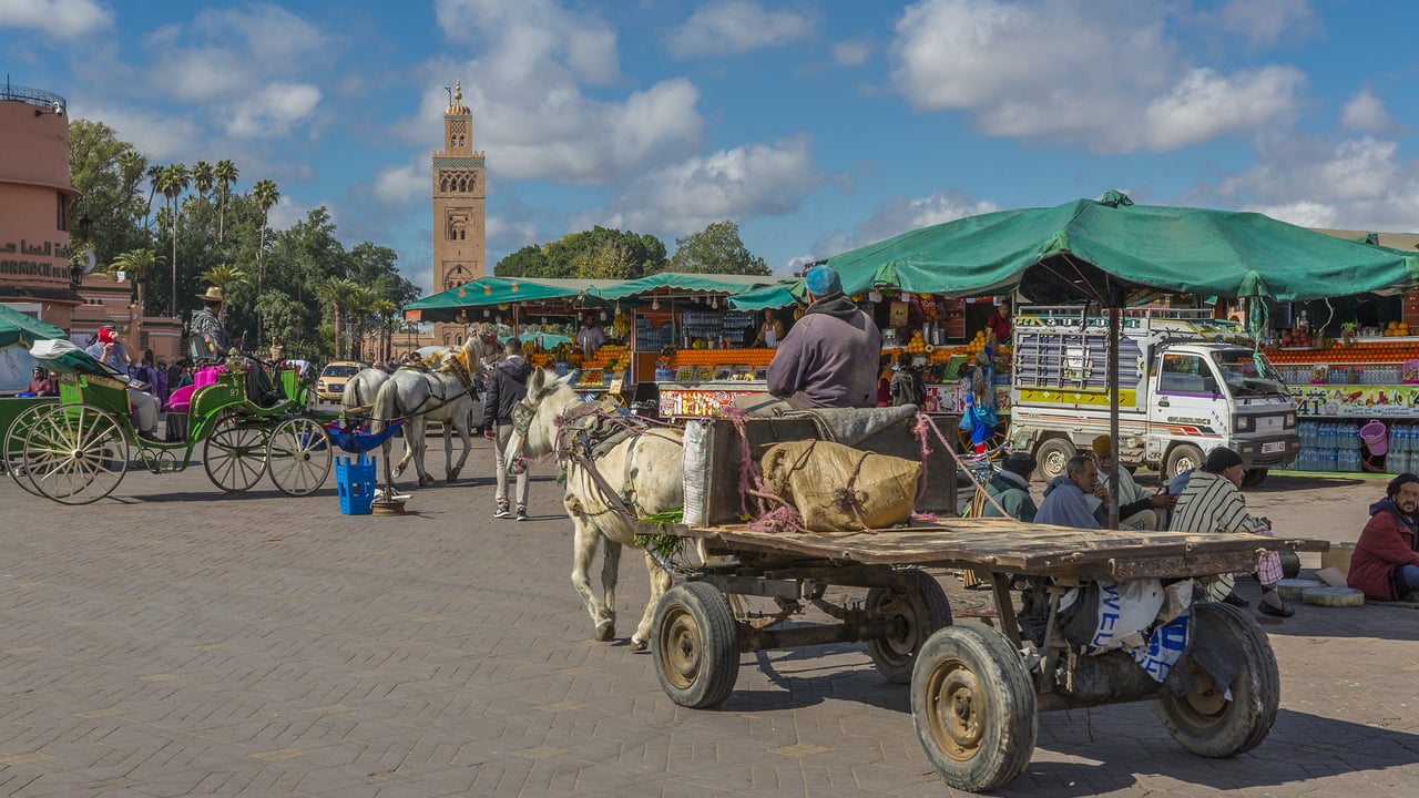 Face aux charrettes en ville, le Maroc à la peine
