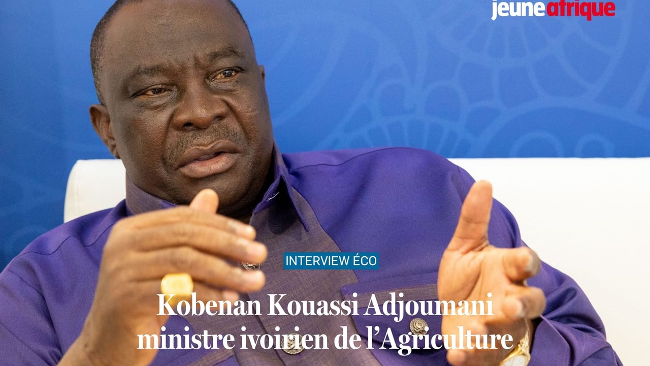 Kobenan Kouassi Adjoumani : « En Côte d’Ivoire, nous veillerons à ce que le riz local soit moins ...