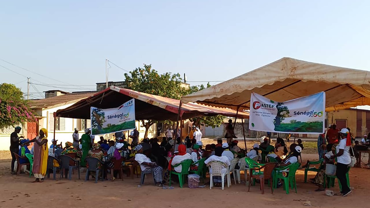 « Cette campagne, c’est une fête pour nous » : en Casamance, Ousmane ...